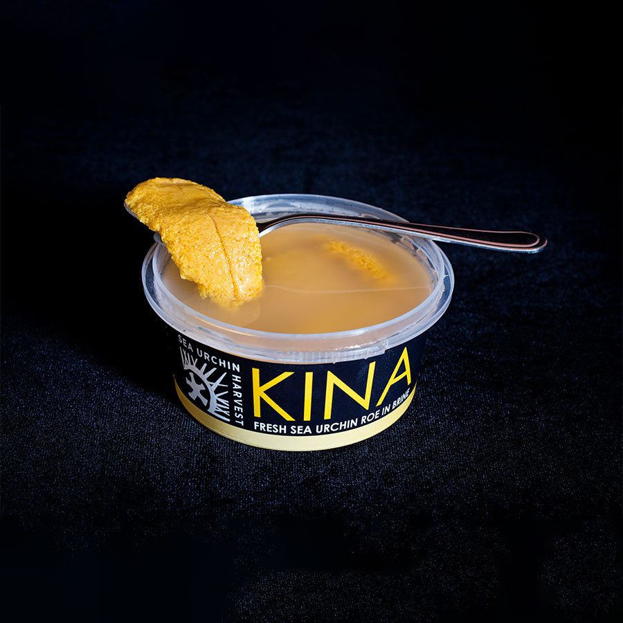 Kina – Sea Urchin Harvest